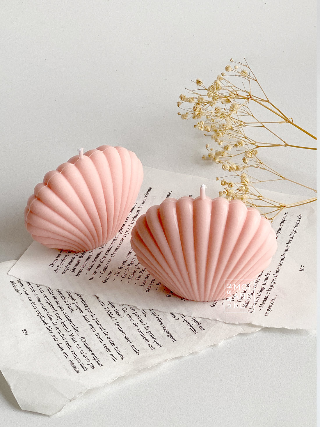 Soy Shell candle candles | Moi and Ko – MOIANDKO